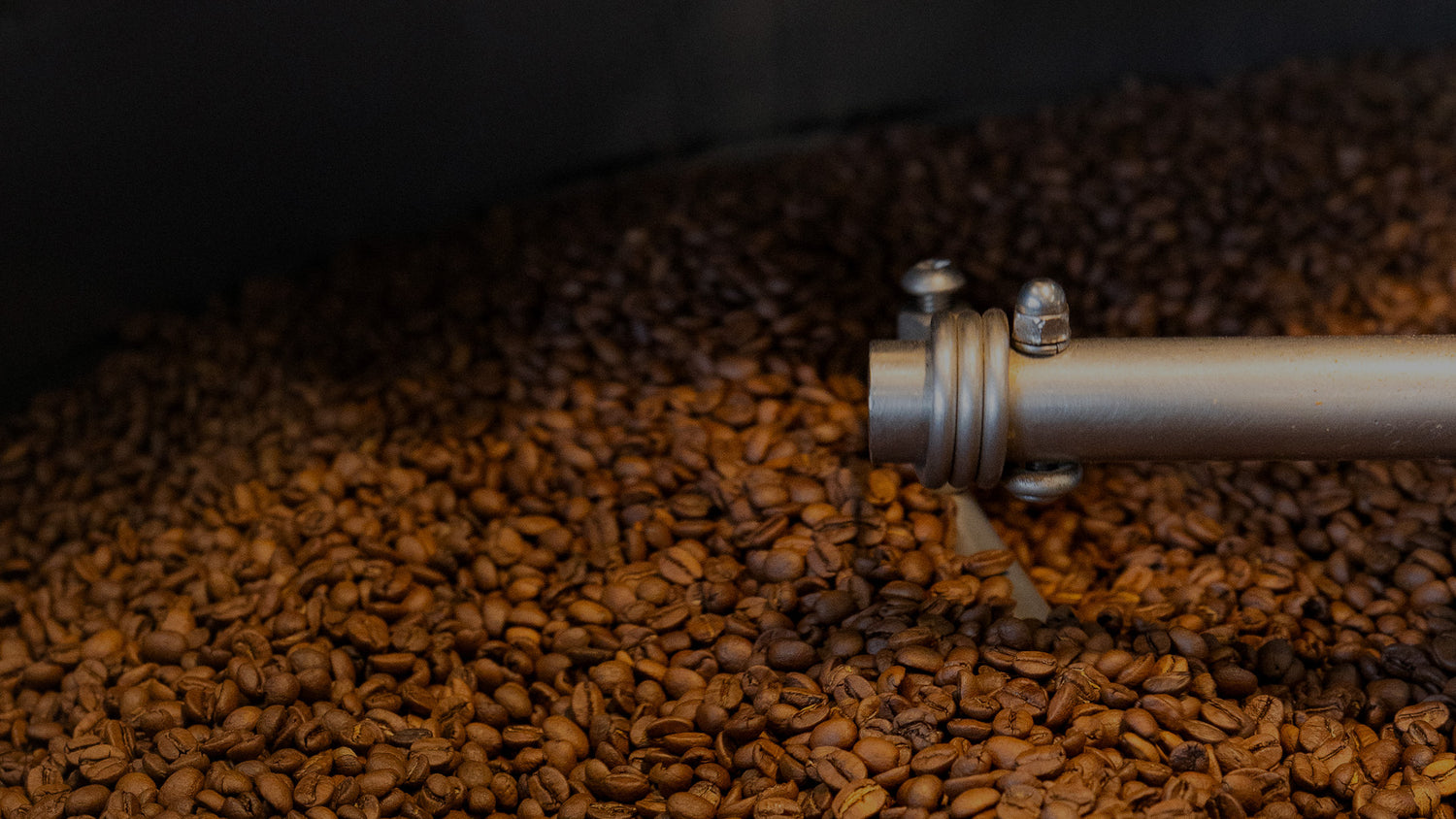 Daily Rise Coffee Wholesale – daily-rise-wholesale